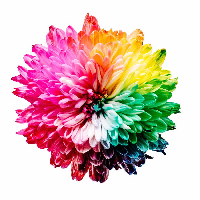 Come scegliere e abbinare i colori in un progetto grafico - Plog Come scegliere e abbinare i colori in un progetto grafico - Plog